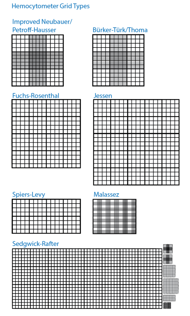 Grid-Types-final • Hemocytometer